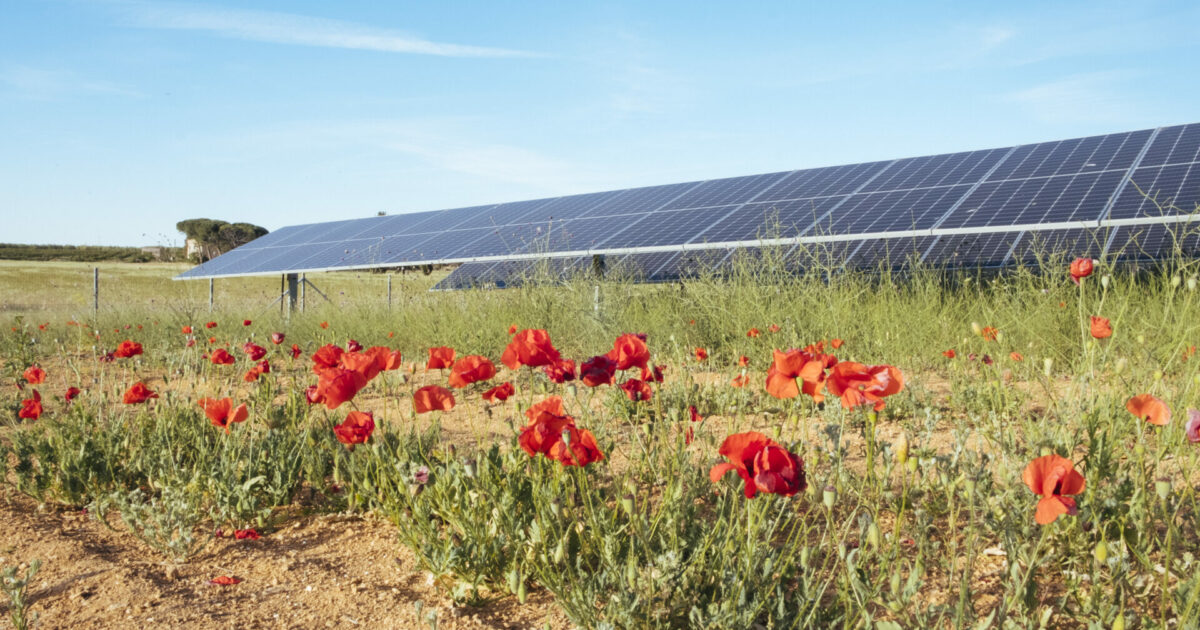 European Energy: accordo con Iren per cessione di progetti fotovoltaici ...